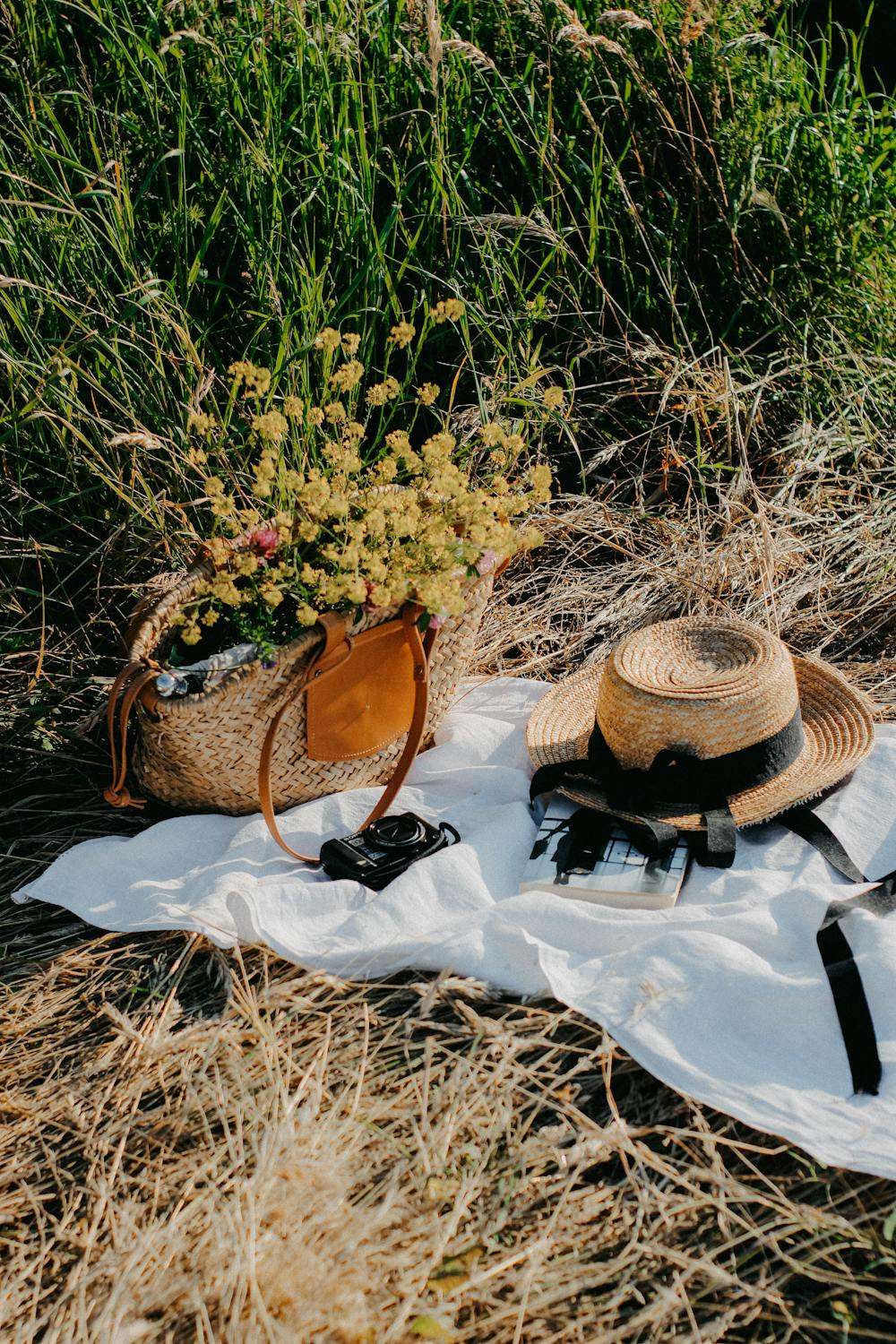 French Picnic Essentials: The Ultimate Guide for a Parisian-Style ...